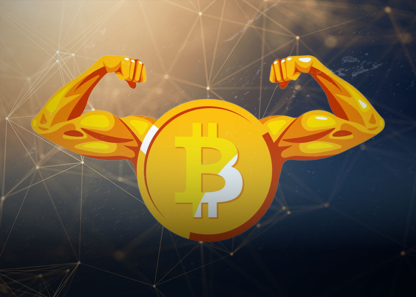 Exploring the Features of Strong Coin - Finance Bun