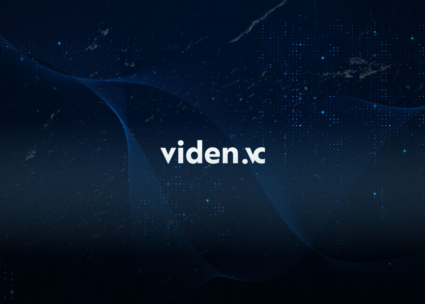 Viden.vc Gathered 80 Investors For Its First Web3 Investment Fund In Brazil - Finance Bun